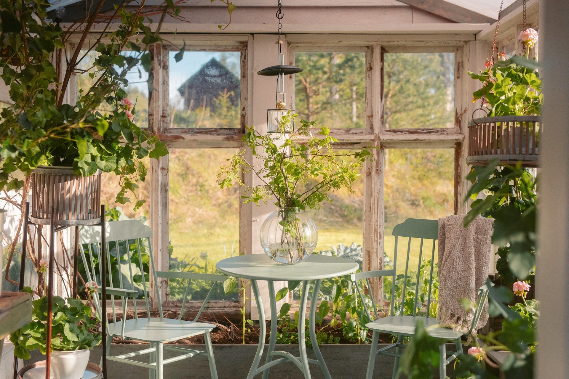 Stromshaga, Bungalow, Kuishi: Poznejte nové značky! - Atmosféra Bella Rose