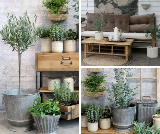 7 tipů na provence styl bydlení v podání Chic Antique - Atmosféra Bella ...
